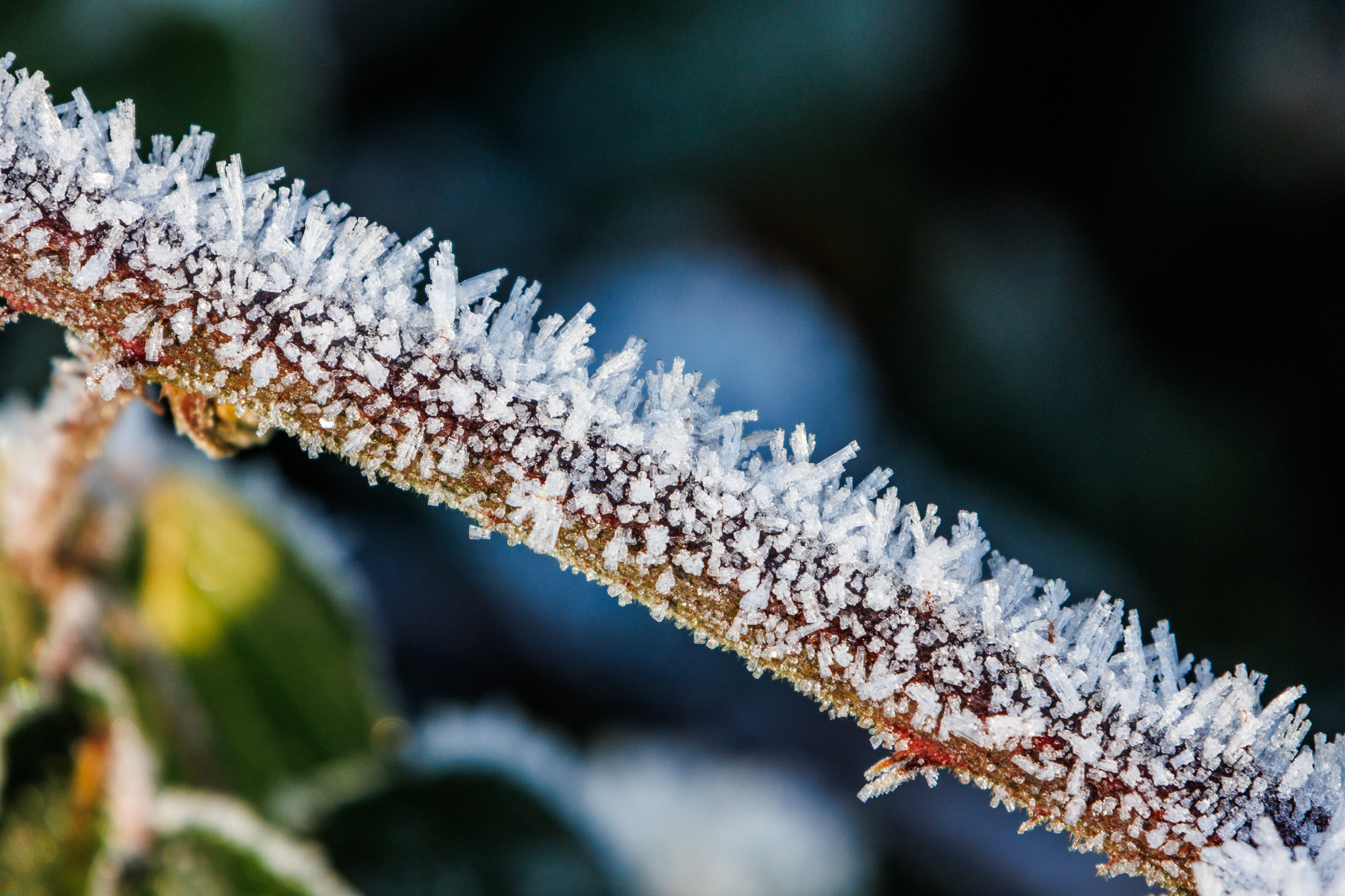 Making a case sensitive directory on Windows and macOS